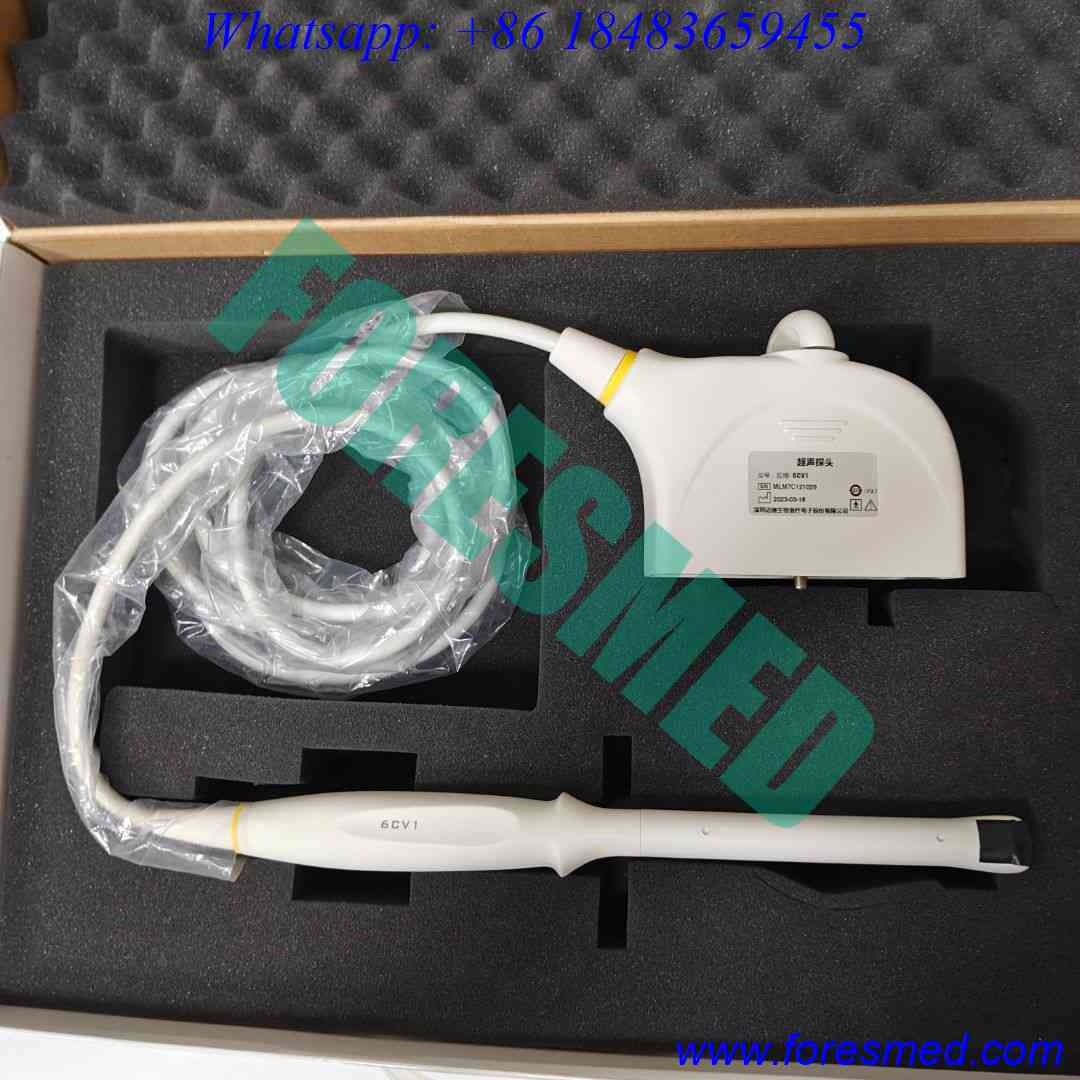 Mindray 6CV1 endocavity ultrasound transducer