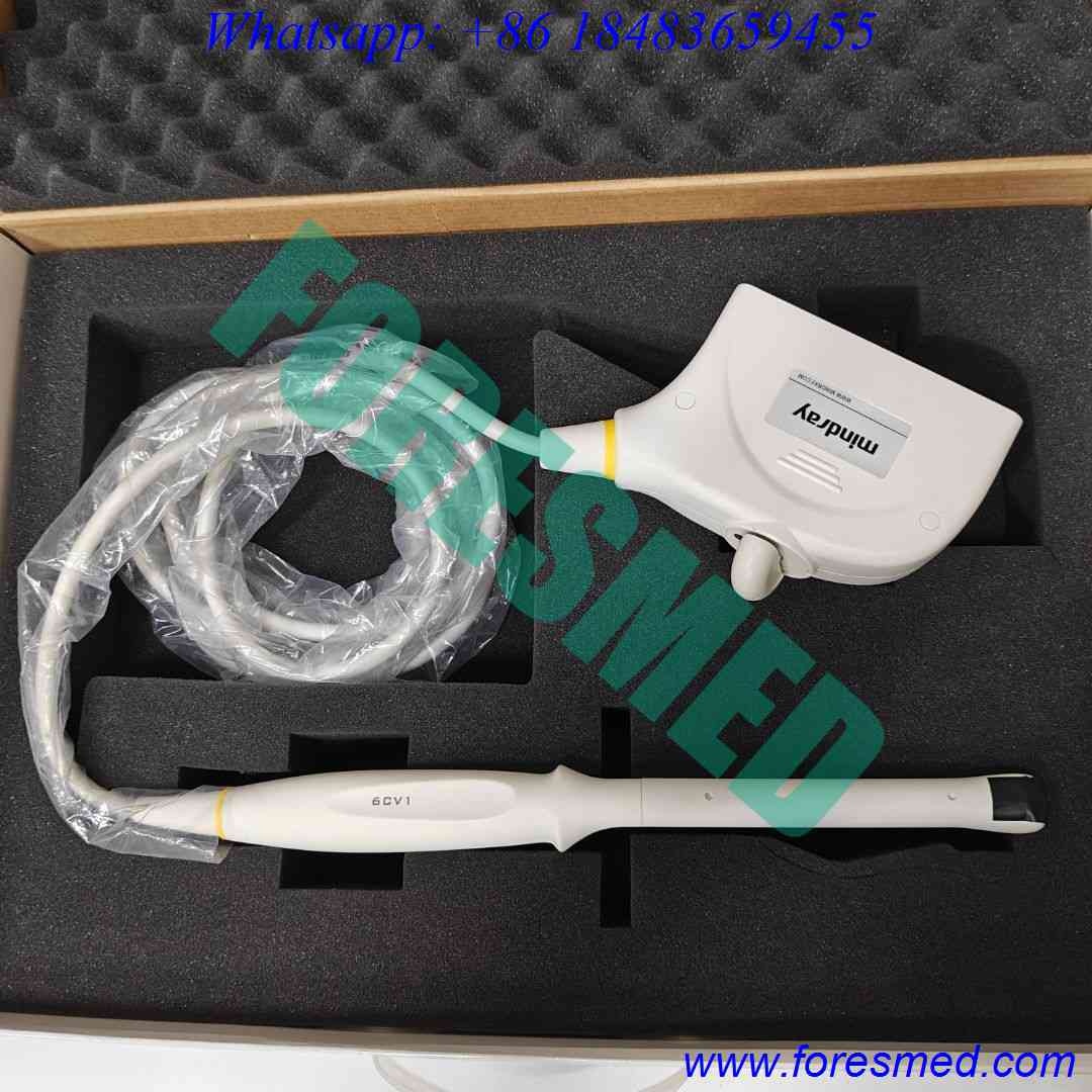 Mindray 6CV1 endocavity ultrasound transducer